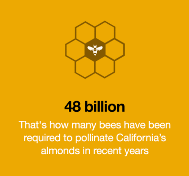 Our Mission | Pollinator Advocacy | KIND Snacks US